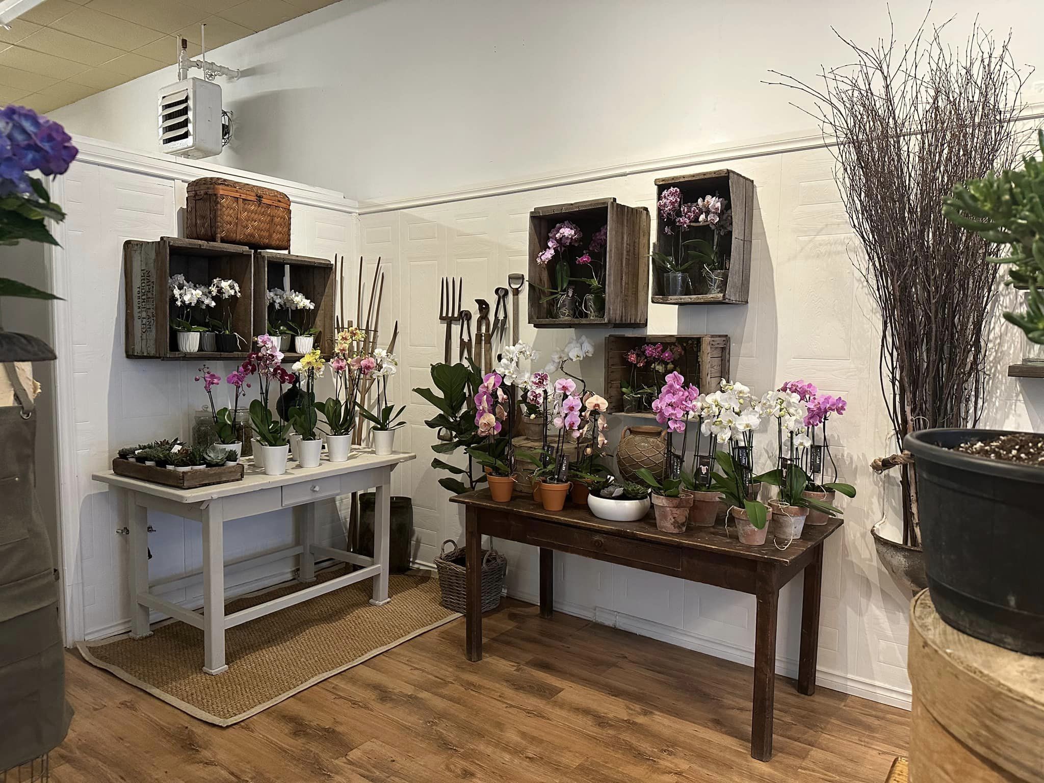 Stems and Moss | Flower Shop – Stems & Moss